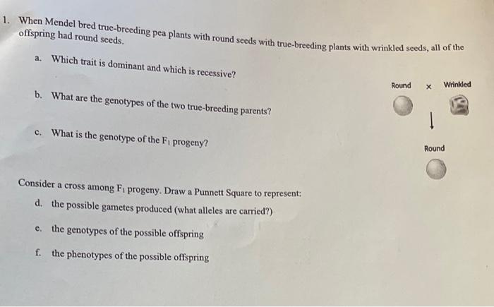 Solved offspring had round seeds. a. Which trait is dominant | Chegg.com
