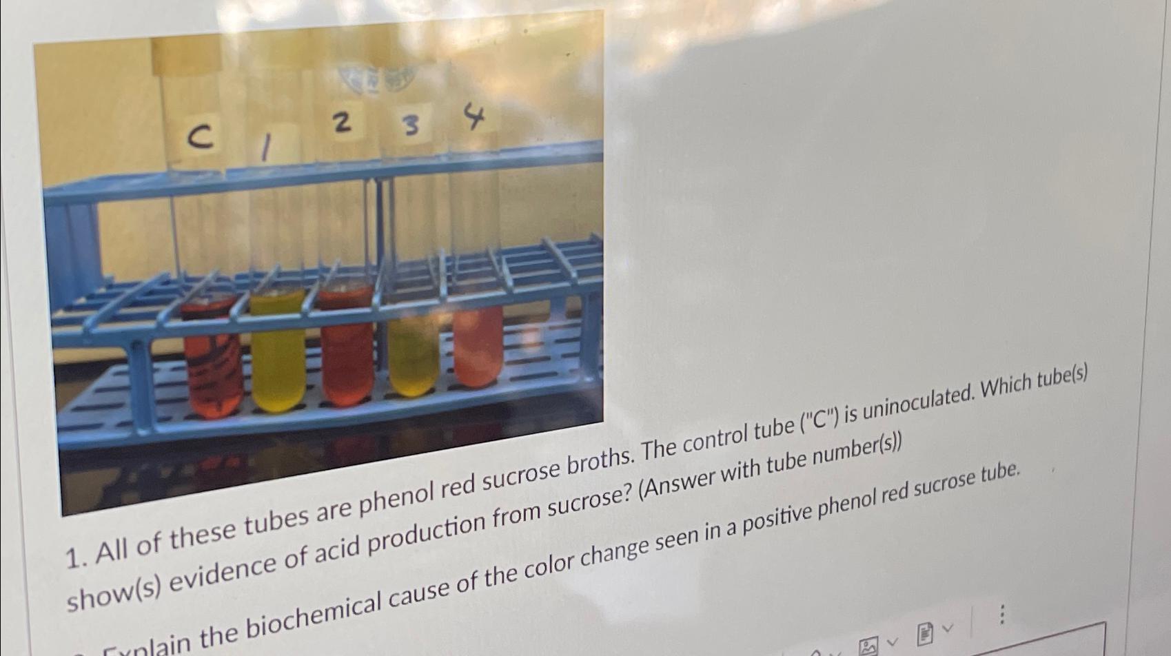 Solved All of these tubes are phenol red sucrose broths. The | Chegg.com