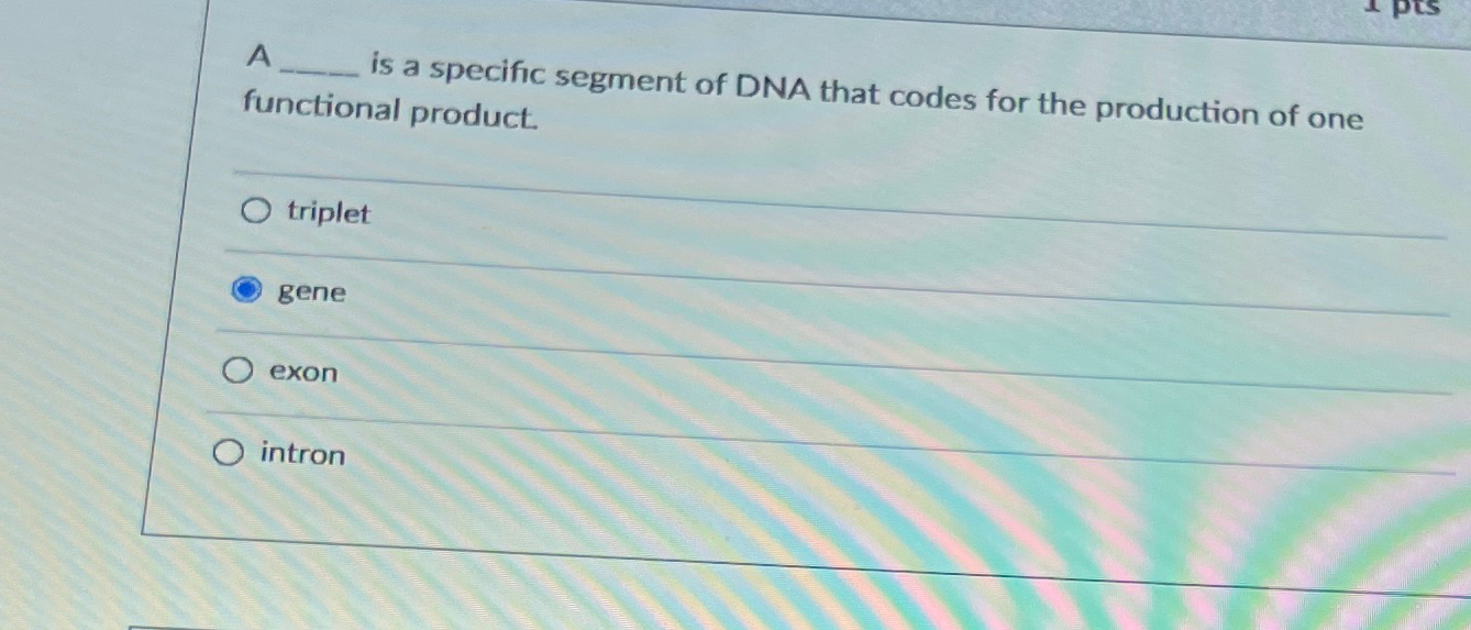 Solved A ﻿is a specific segment of DNA that codes for the | Chegg.com