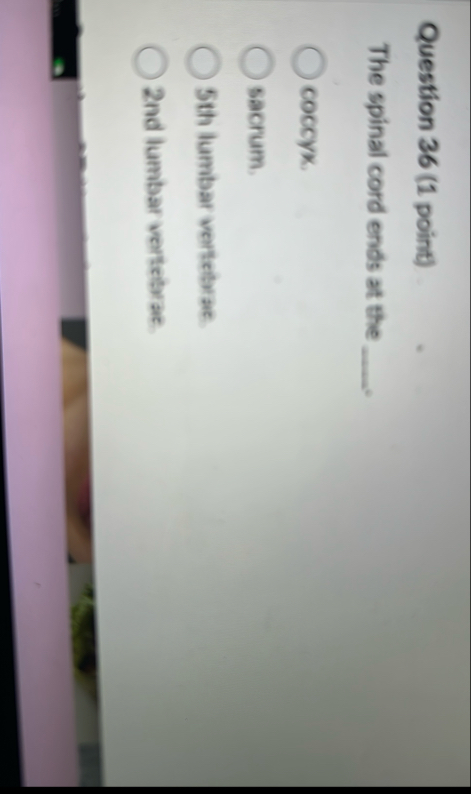 Solved Question 36 (1 ﻿point)The spinal cord ends at the | Chegg.com