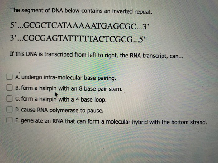 Solved The segment of DNA below contains an inverted repeat. | Chegg.com