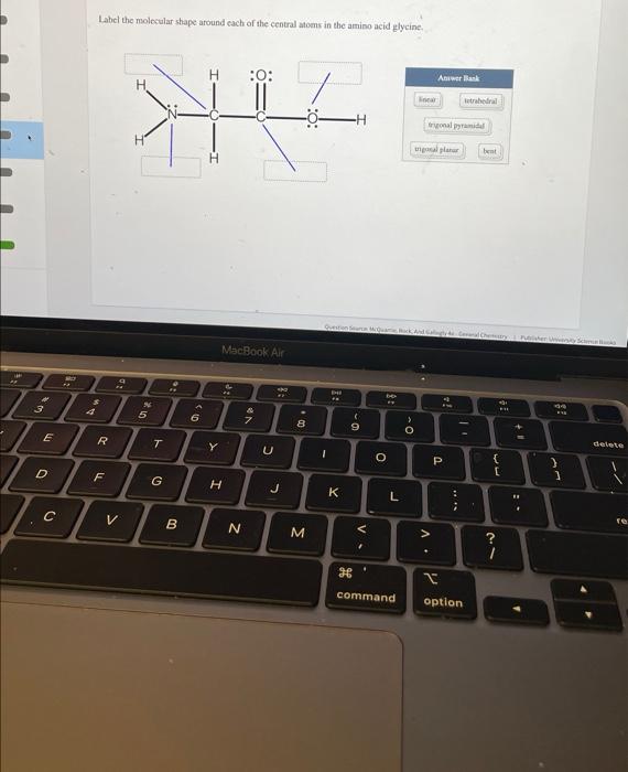 Solved Label the molectular shape around each of the central | Chegg.com