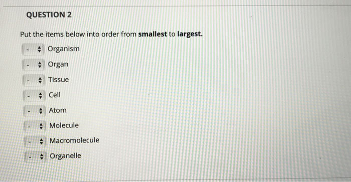 Solved Please answer questions 1,2,3,4 and 5. Thank you! | Chegg.com