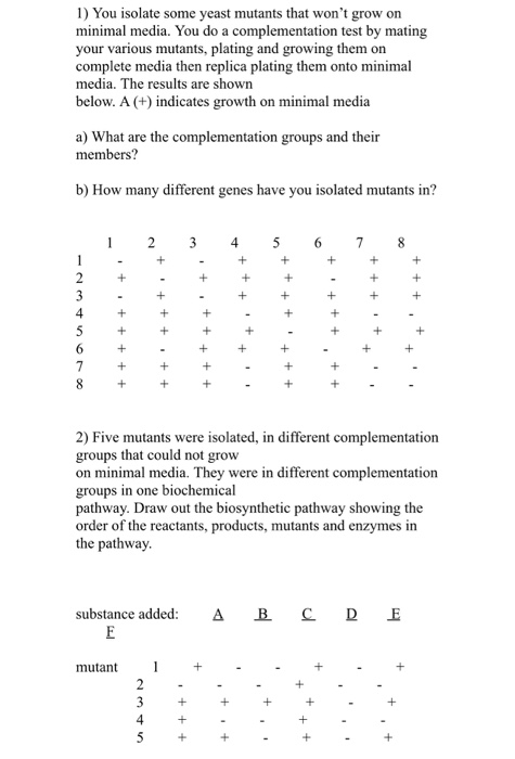 Solved 1) You isolate some yeast mutants that won't grow on | Chegg.com