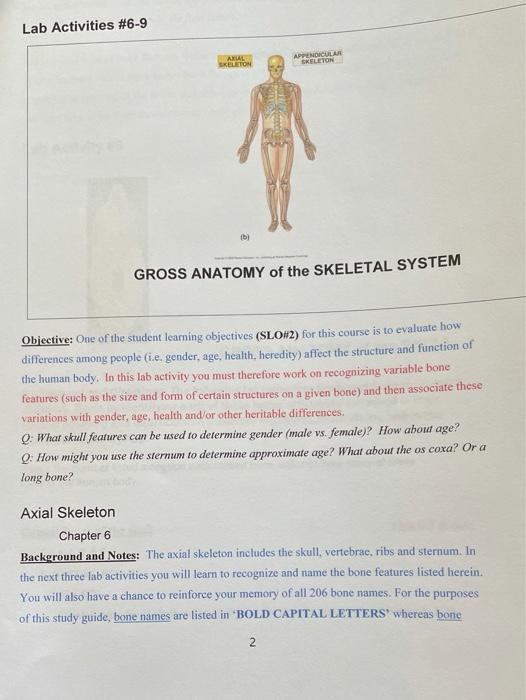 Solved Lab Activities #6-9 AXIAL SKELETON APPENDICULAR | Chegg.com