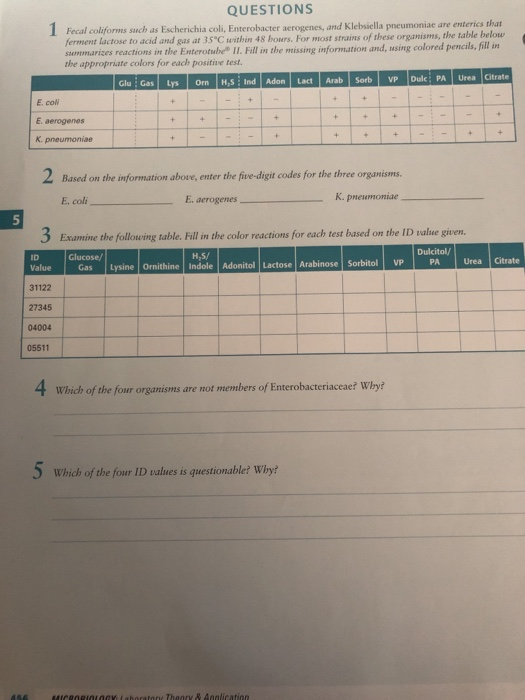 Solved QUESTIONS 1 Fecal coliforms such as Escherichia coli, | Chegg.com