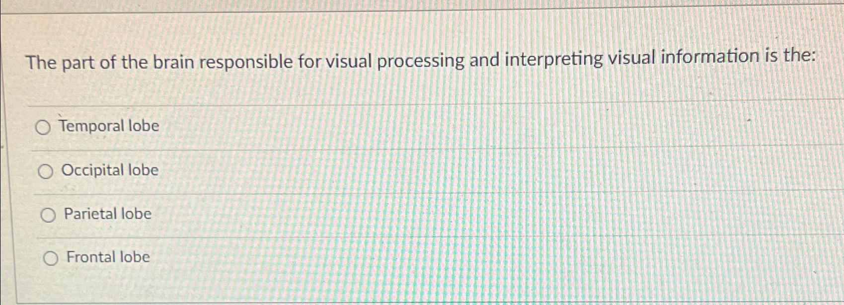 Solved The part of the brain responsible for visual | Chegg.com