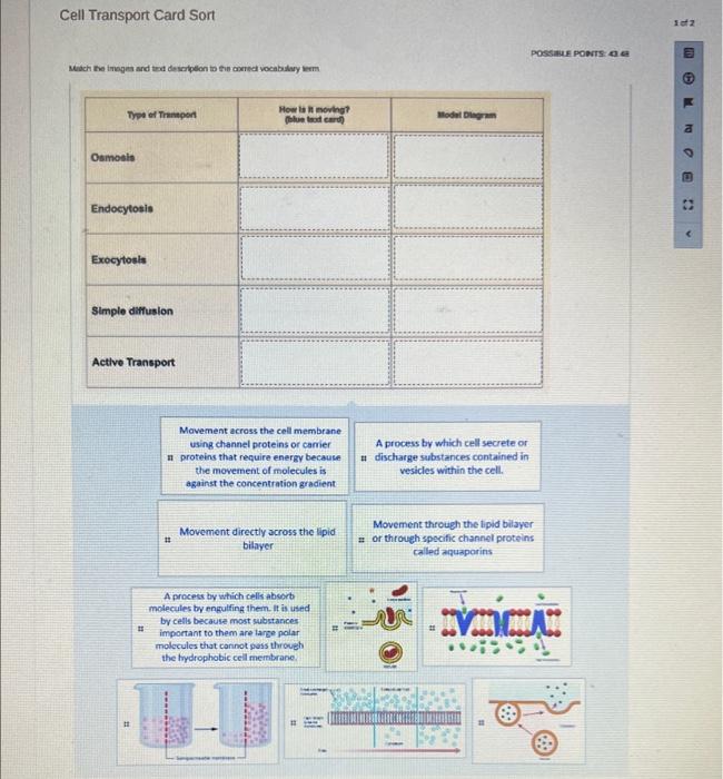 Solved Cell Transport Card Sort Mavement across the cell | Chegg.com