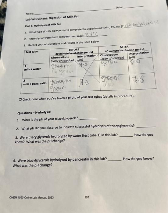 Lab Worksheet: Digestion of Milk Fat Part 1: | Chegg.com