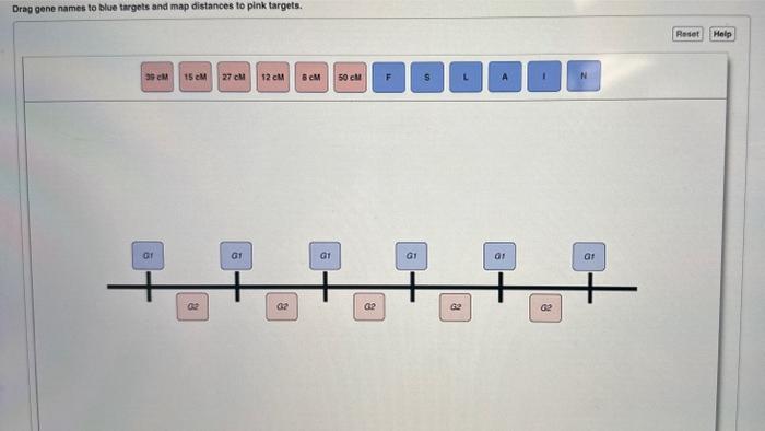 Solved A series of two-point crosses involving 6 genes | Chegg.com