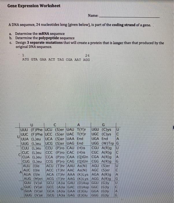 Solved Gene Expression Worksheet Name: A DNA sequence, 24 | Chegg.com