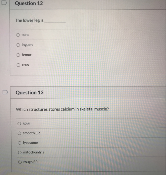 Solved Question 12 The lower leg is sura inguen femur crus | Chegg.com