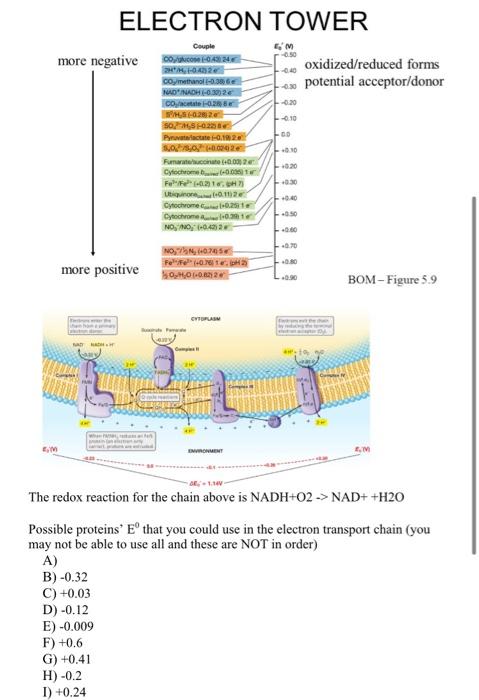 Solved ELECTRON TOWER M more negative Couple CO/ 10:22 como | Chegg.com