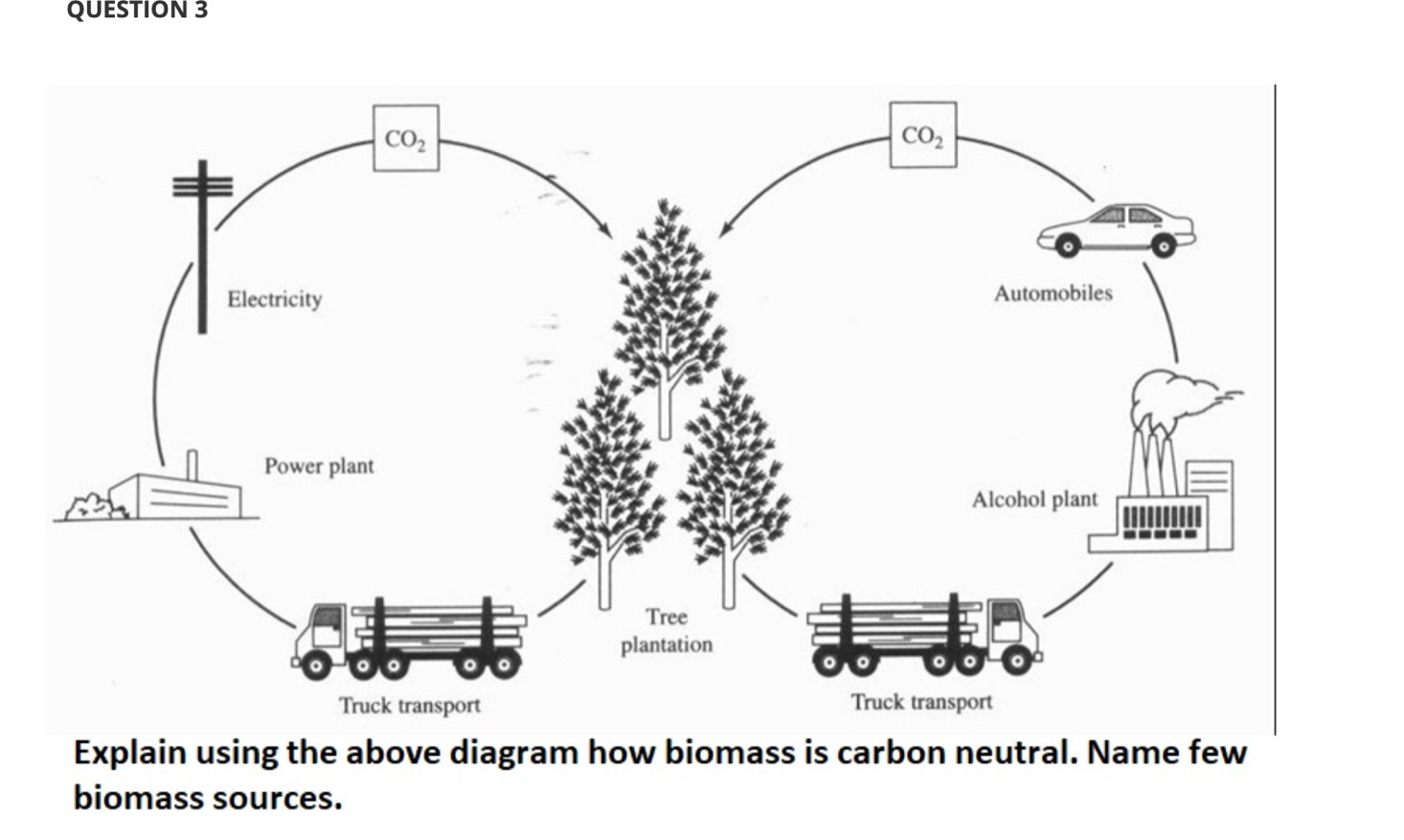 Solved QUESTION 3Explain using the above diagram how biomass | Chegg.com