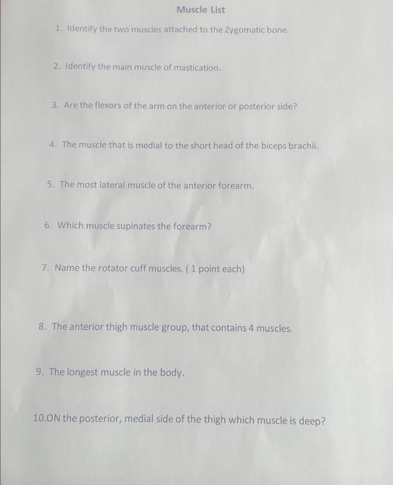 Muscle List 1. Identify the two muscles attached to | Chegg.com