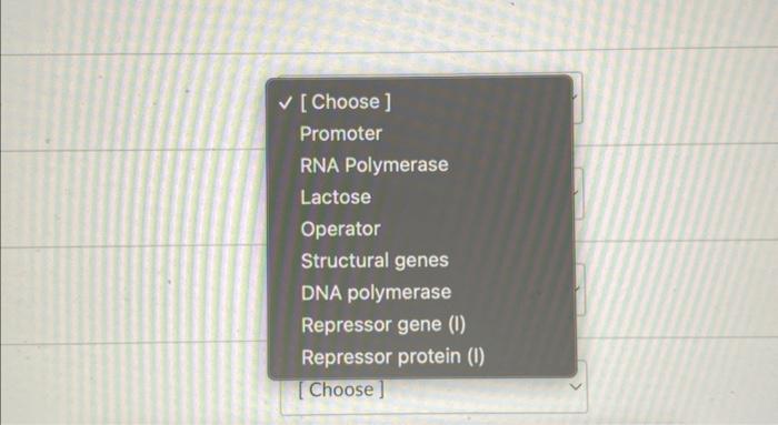 Solved Components of the lactose (Lac) operon | Chegg.com Solved Components of the lactose (Lac) operon | Chegg.com
