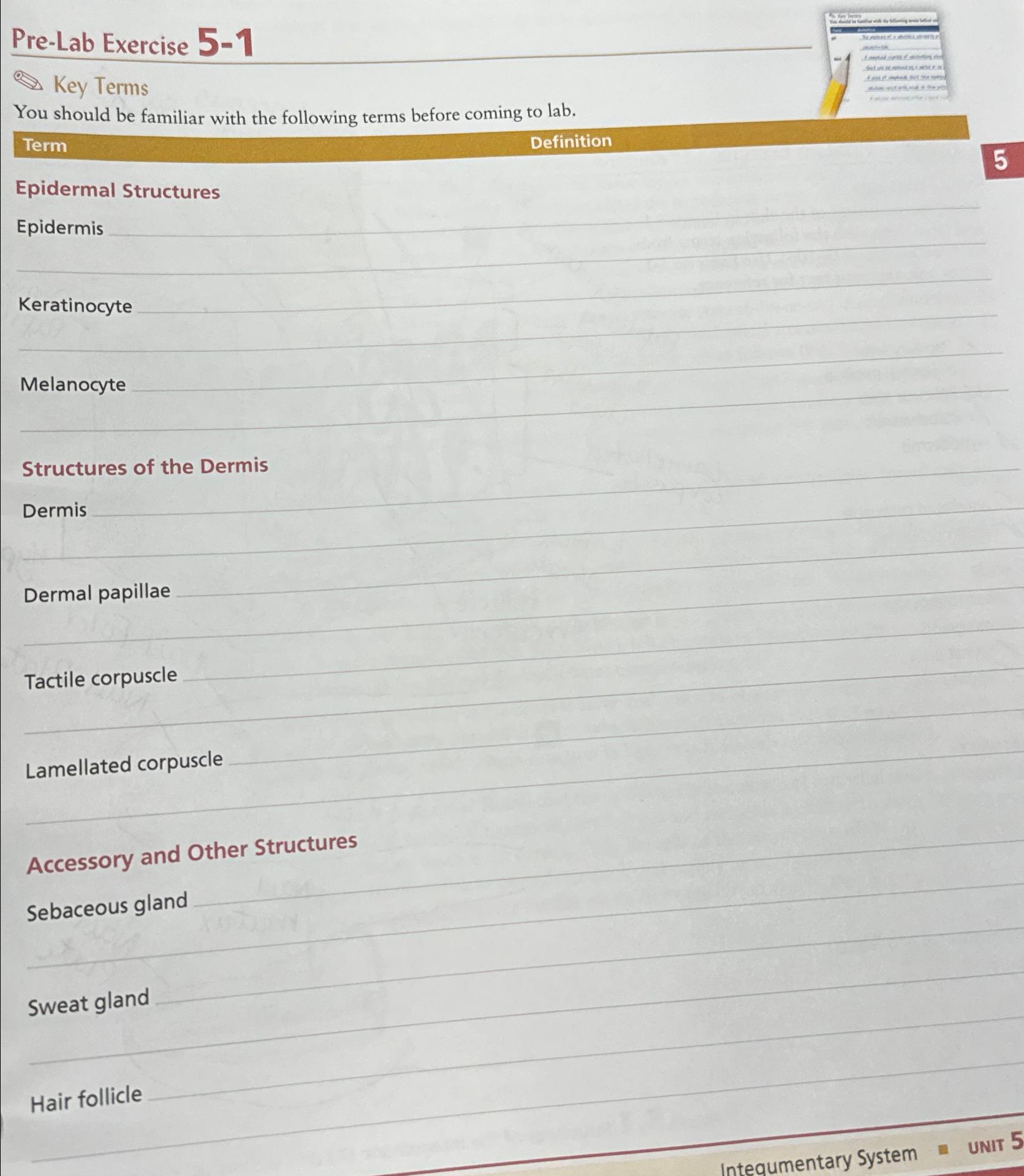Solved Pre-Lab Exercise 5-1Key TermsYou should be familiar | Chegg.com