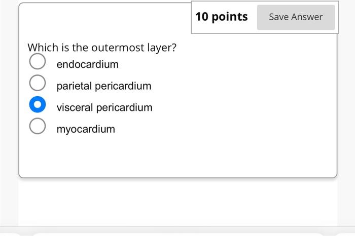 Solved 10 points Save Answer Which is the outermost layer? O | Chegg.com