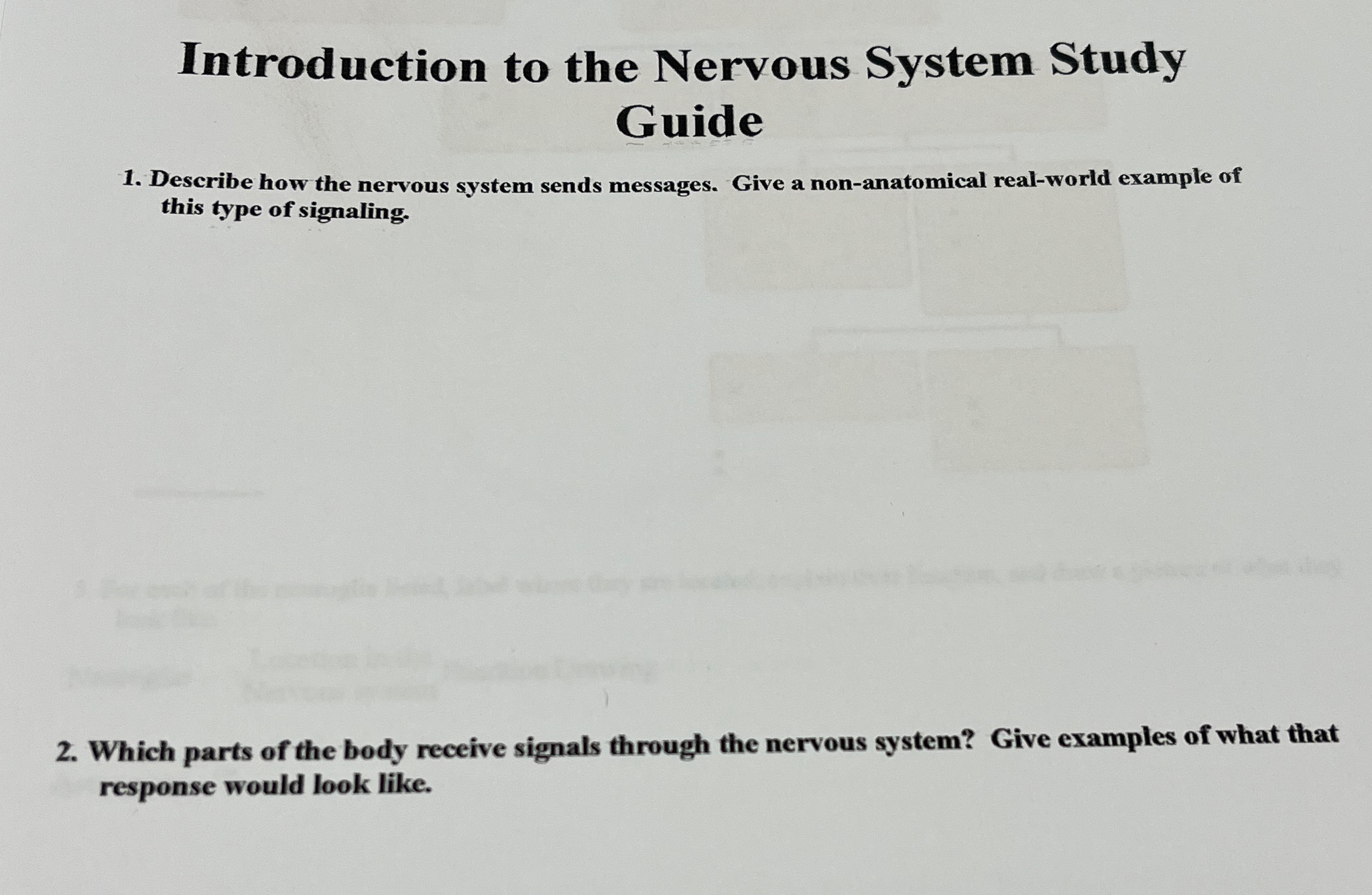 Solved Introduction to the Nervous System Study | Chegg.com
