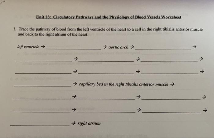 Solved Unit 23: Circulatory Pathways and the Physiology of | Chegg.com