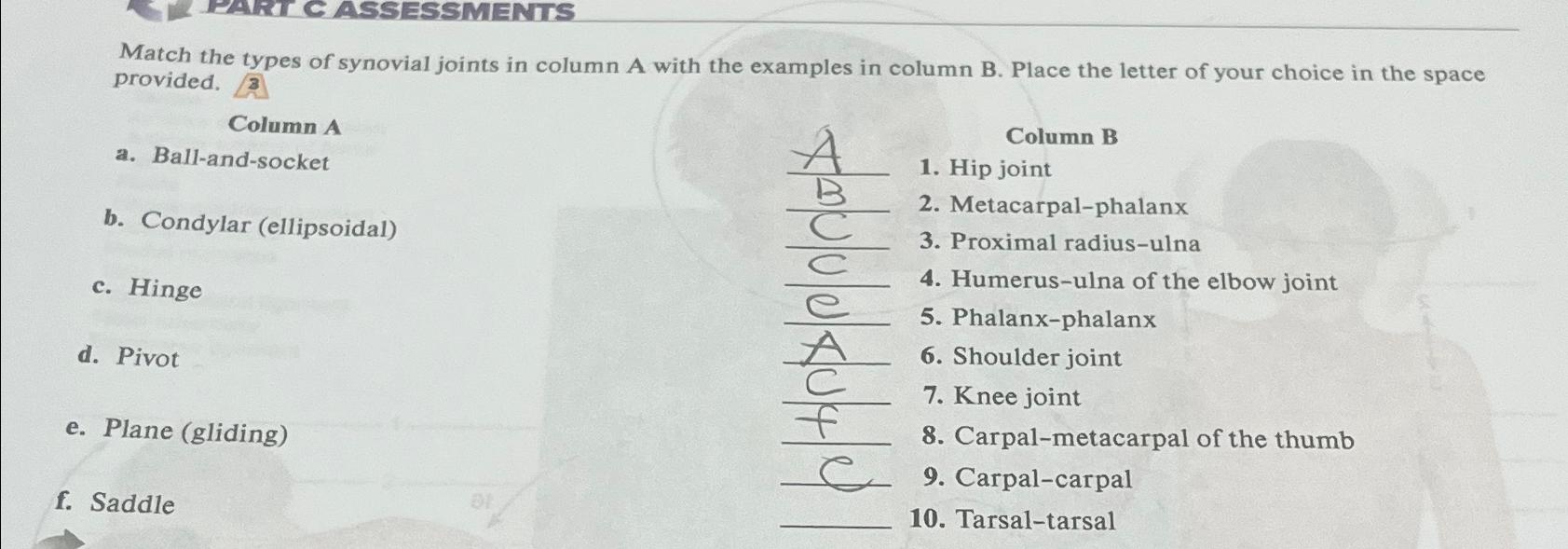Solved Match the types of synovial joints in column A with | Chegg.com
