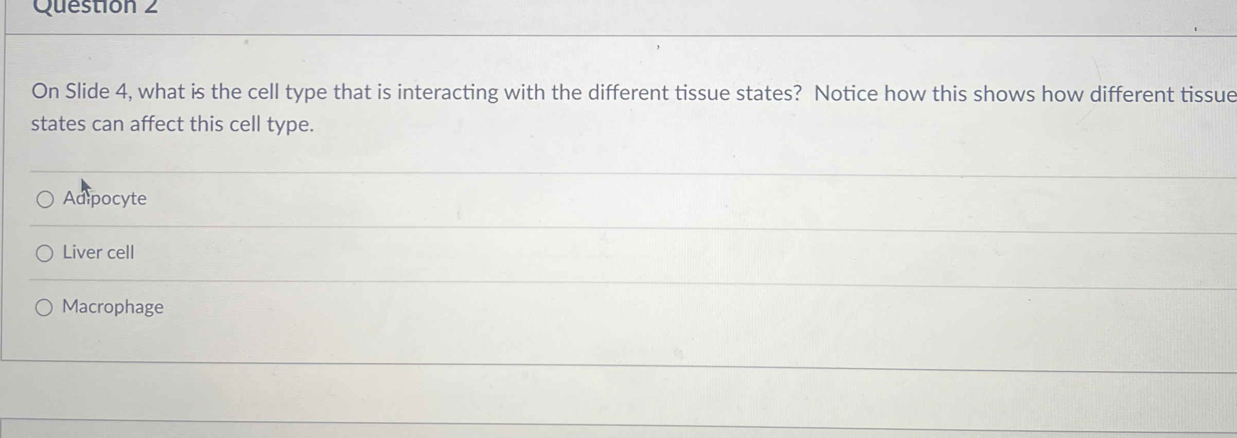 Solved On Slide 4, ﻿what is the cell type that is | Chegg.com