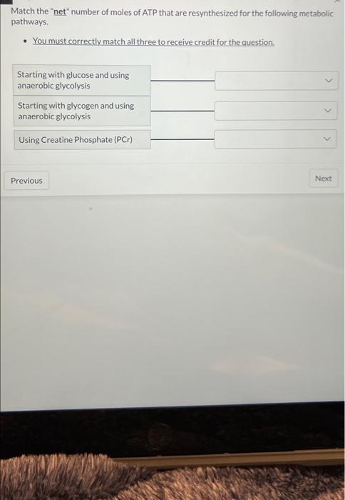 Solved Match the "net" number of moles of ATP that are | Chegg.com