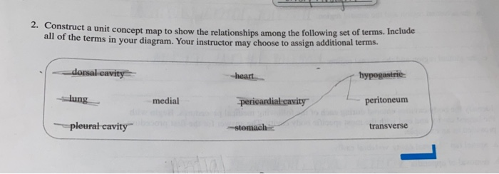 Solved 2. Construct a unit concept map to show the | Chegg.com