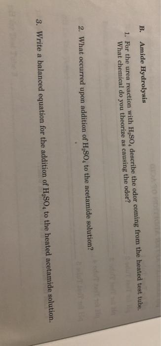 Solved B. Amide Hydrolysis 1. For the urea reaction with | Chegg.com