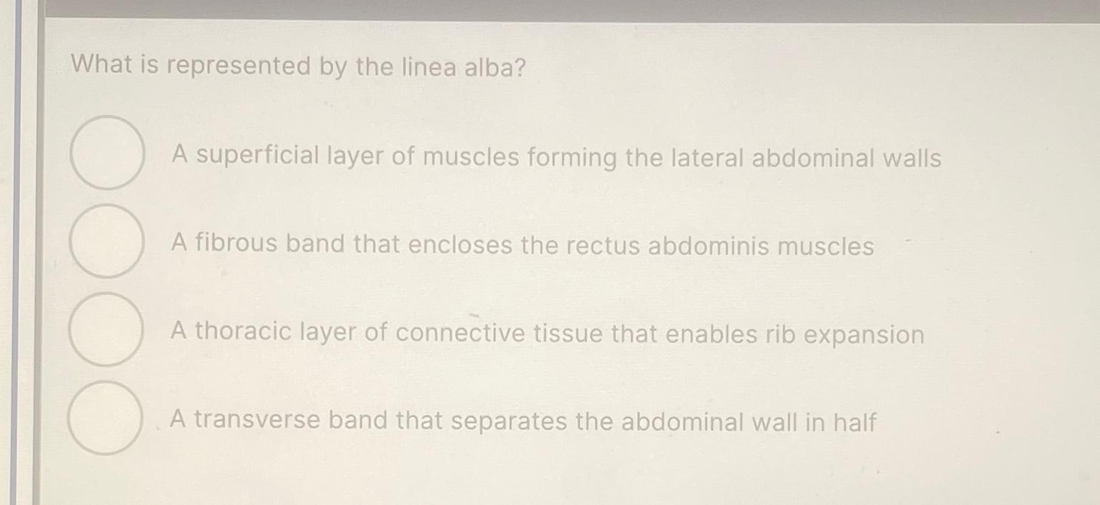 Solved What is represented by the linea alba?A superficial | Chegg.com