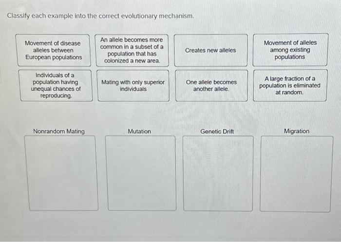 Solved Classify each example into the correct evolutionary | Chegg.com