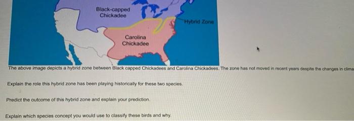 Solved Black-capped Chickadee Hybrid Zone Carolina Chickadee | Chegg.com