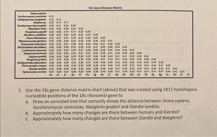 1. Use the 18 s gene distance matrix chart (above) | Chegg.com