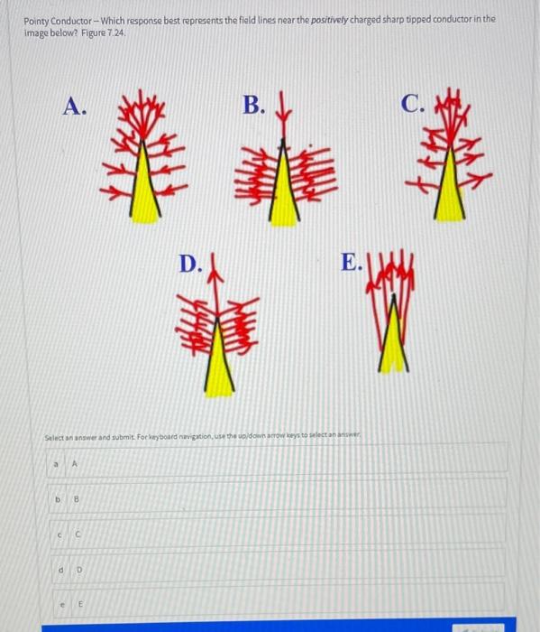 Solved Pointy Conductor - Which response best represents the | Chegg.com