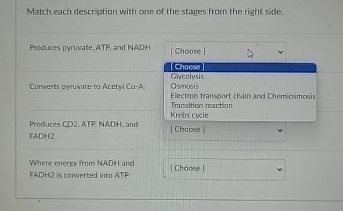 Solved Match each description with one of the stages from | Chegg.com