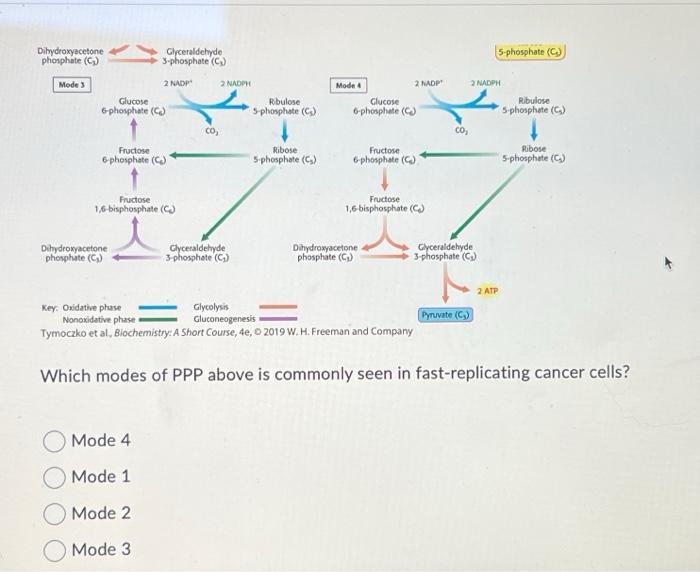 Solved Refer to the diagram below: Which modes of PPP above | Chegg.com