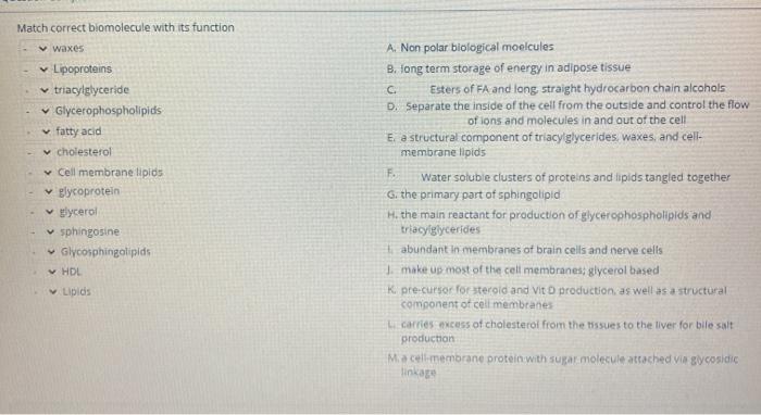 Solved Match correct biomolecule with its function C. | Chegg.com
