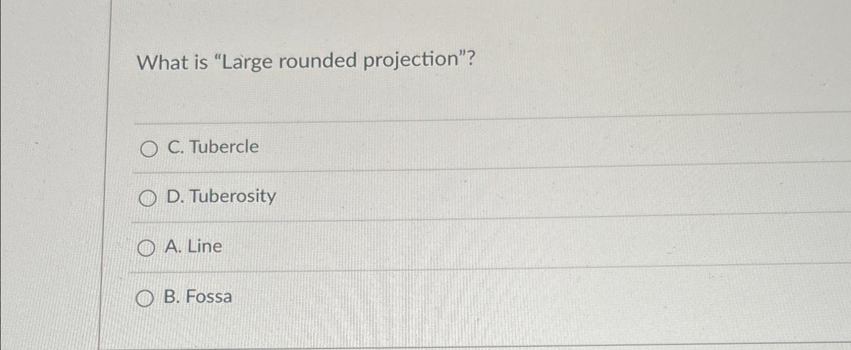 Solved What is "Large rounded projection"?C. ﻿TubercleD. | Chegg.com