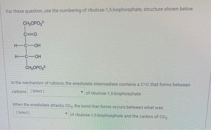 Solved For these question, use the numbering of | Chegg.com