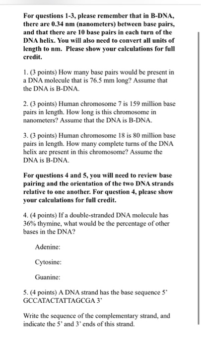 Solved For questions 1-3, please remember that in B-DNA, | Chegg.com