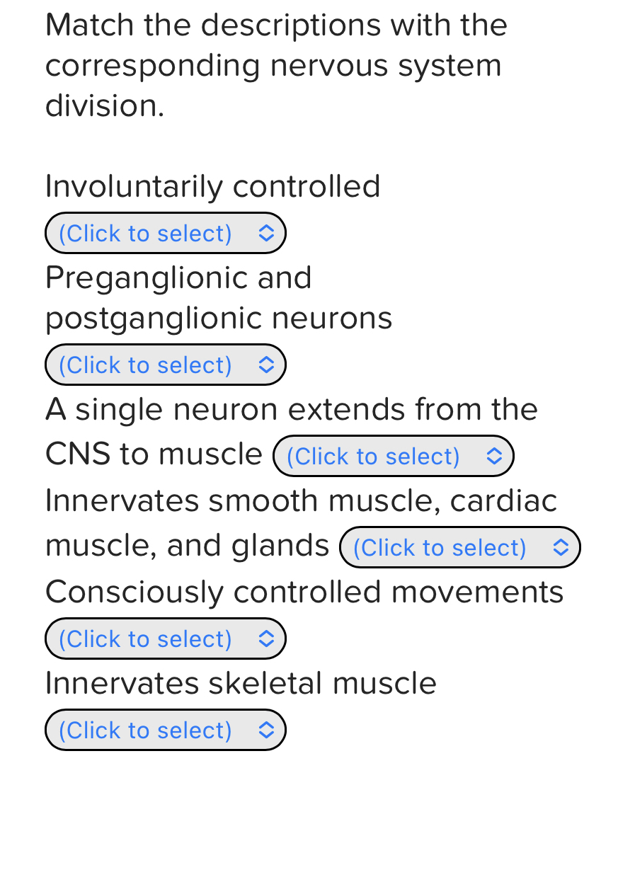 Solved Match the descriptions with the corresponding nervous | Chegg.com