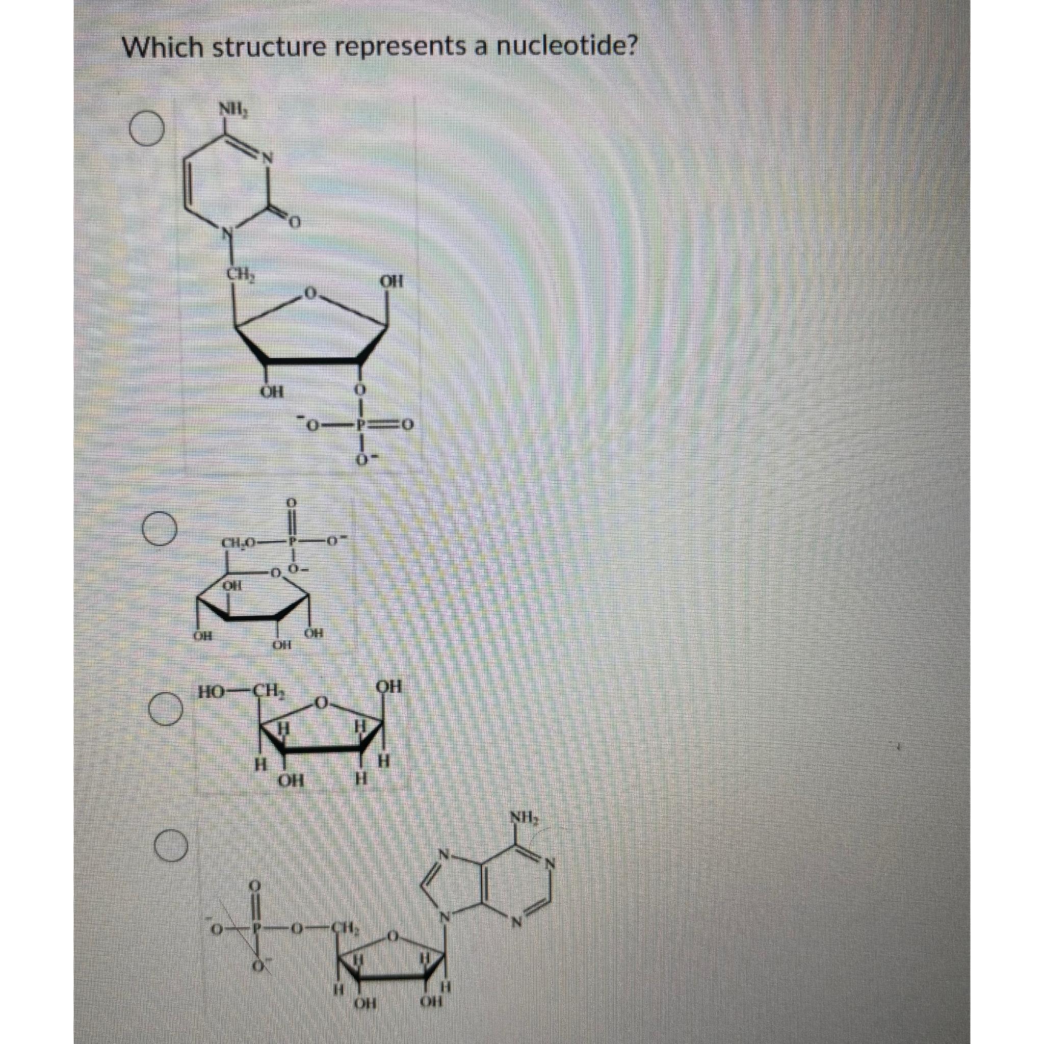 Solved Which structure represents a nucleotide? | Chegg.com