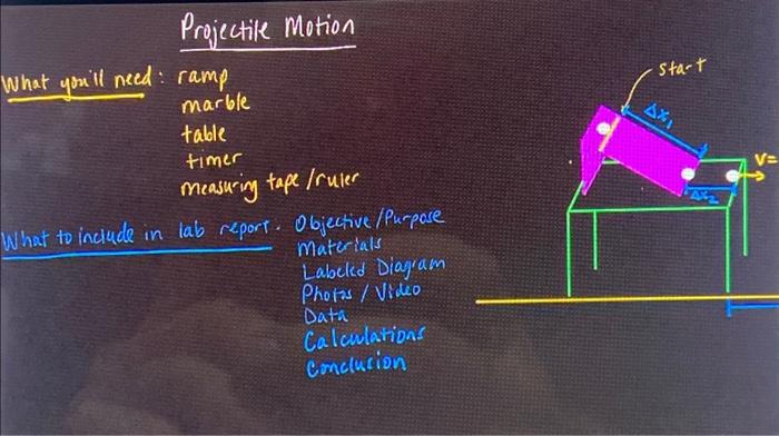 Projectile Motion Lab.Please make this lab for me so | Chegg.com