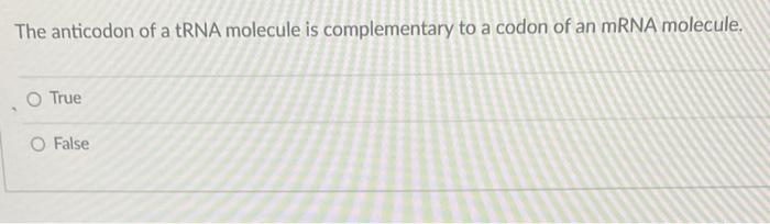 Solved The anticodon of a tRNA molecule is complementary to | Chegg.com