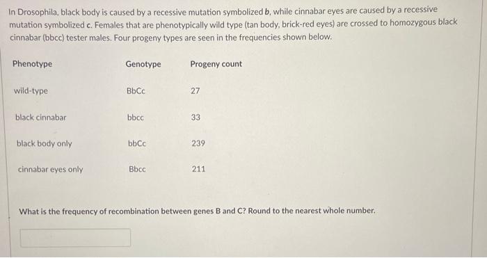 In Drosophila, black body is caused by a recessive | Chegg.com