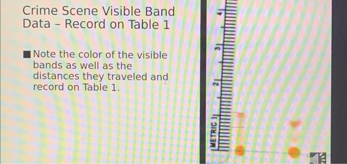 Solved Solvent line Data Record on Table 1 Measure the | Chegg.com