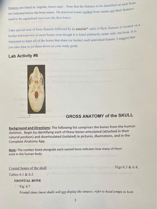Solved Lab Activities #6-9 AXIAL SKELETON APPENDICULAR | Chegg.com