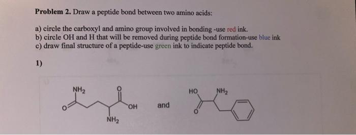 Solved Problem 2. Draw a peptide bond between two amino | Chegg.com