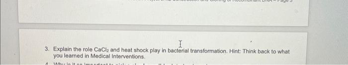 Solved 2. The goal of the ligation is to insert the Kan-gene | Chegg.com
