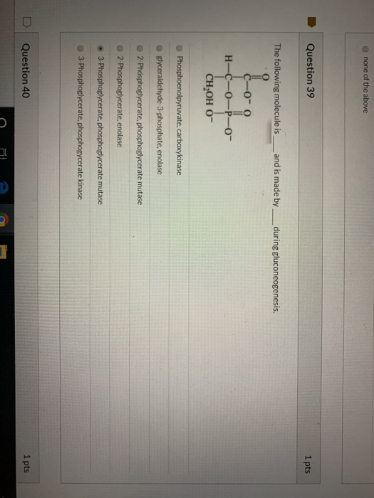 Solved Question 41 O pts Extra Credit: Solved Question 41 O pts Extra Credit: